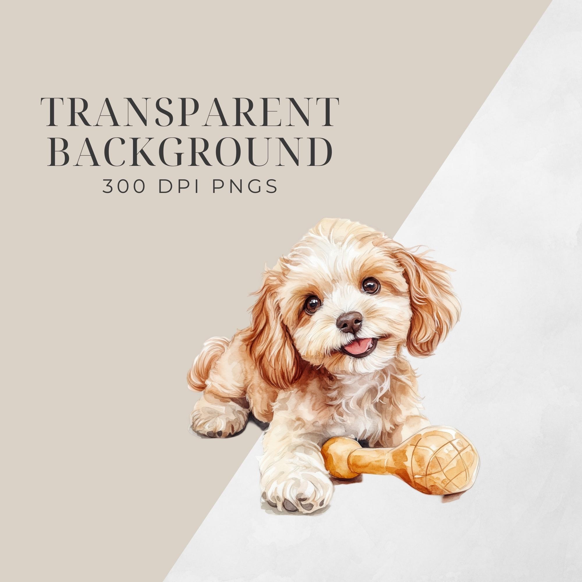 Dog Clipart Cavapoo, Cute Puppies Transparent Png, Realistic Dog Breeds ...