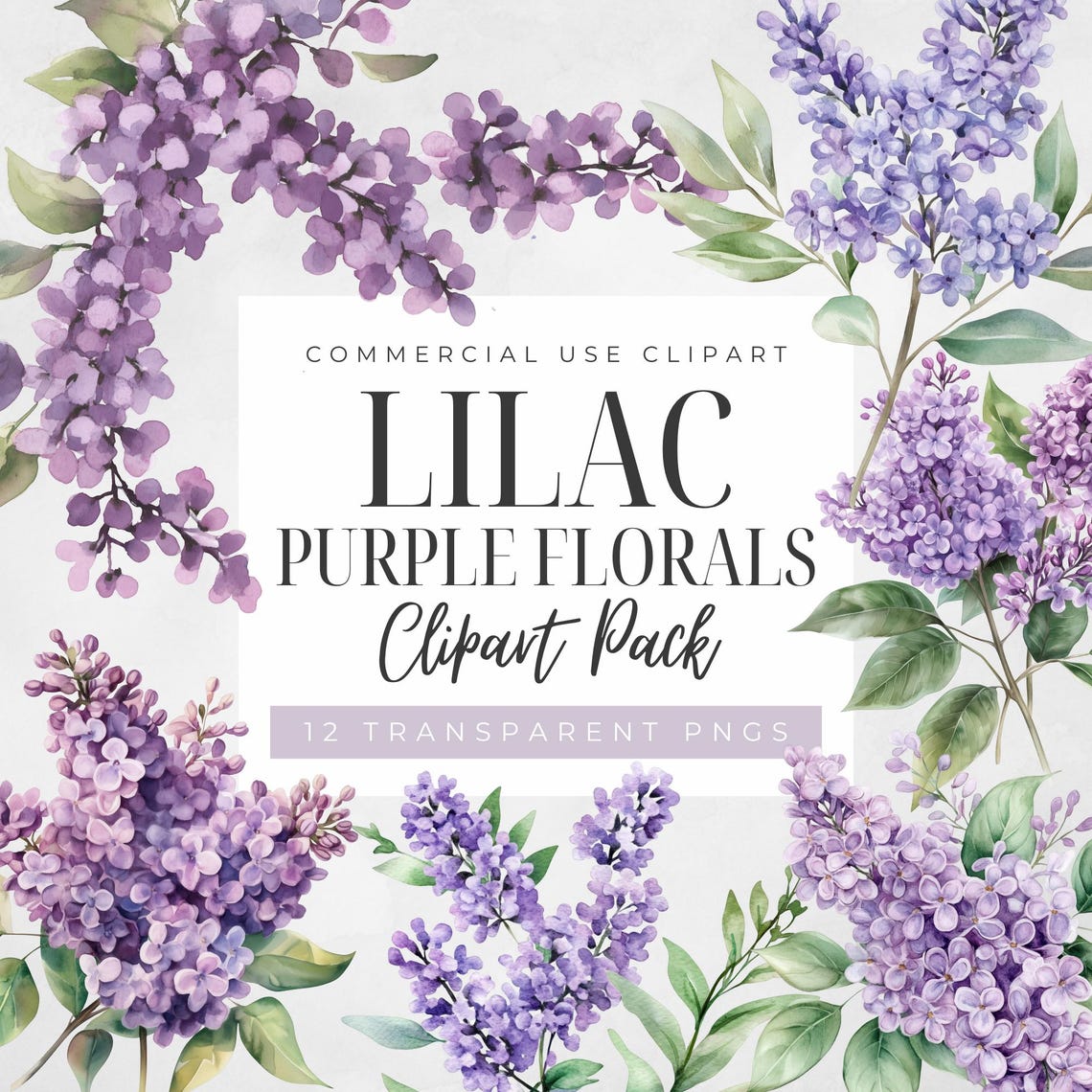 Watercolor Lilacs Floral Clipart, Purple Flowers Clip Art, Spring ...