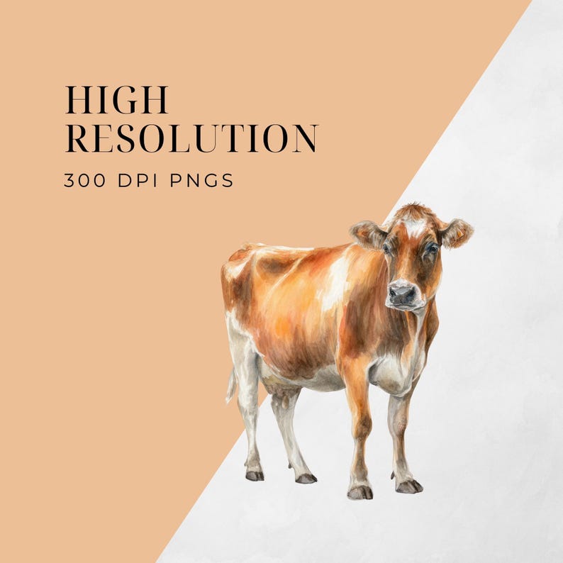 Watercolor Cow Clipart: Barn Animals Clip Art Pngs, Grazing Cattle in ...
