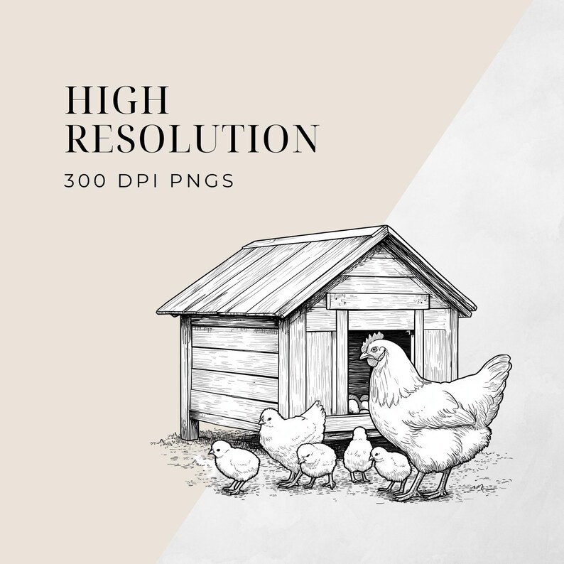 Black & White Chicken Life Cycle Clipart, Farm Animal PNG, Hen Chick ...