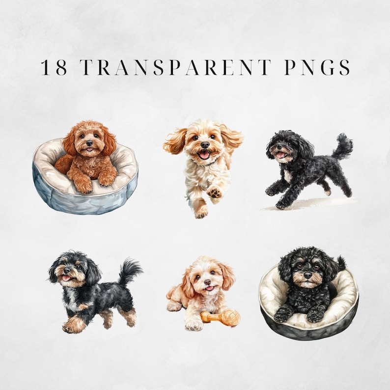 Dog Clipart Cavapoo, Cute Puppies Transparent Png, Realistic Dog Breeds ...