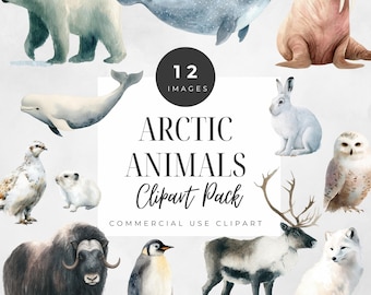 Arctic Animals Clipart | Digital Stamps | Vector | Polar Bear | Penguin ...