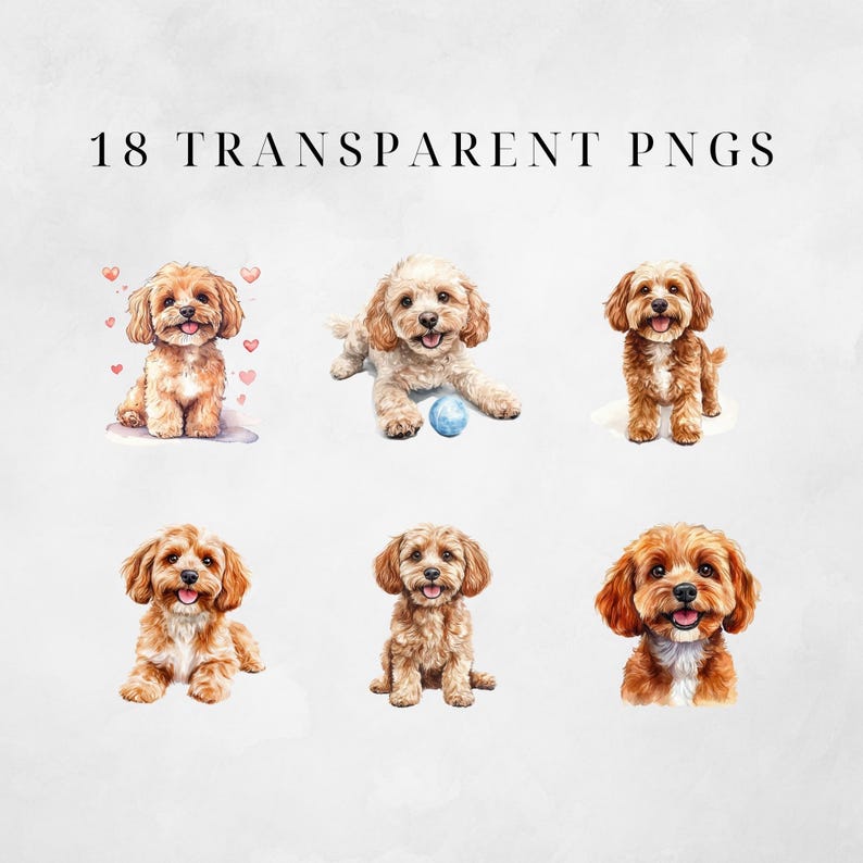 Dog Clipart Cavapoo, Cute Puppies Transparent Png, Realistic Dog Breeds ...