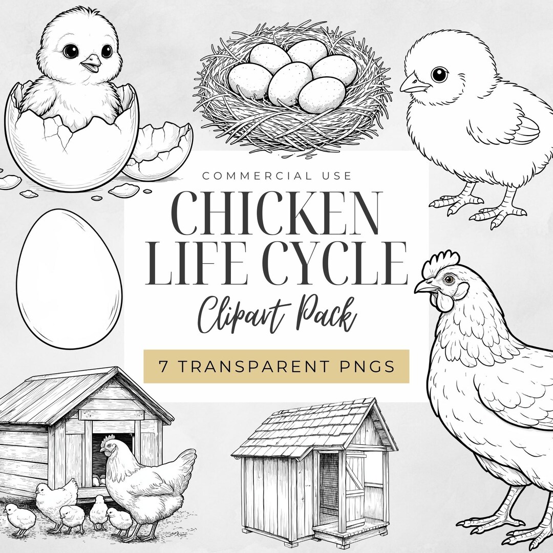 Black & White Chicken Life Cycle Clipart, Farm Animal PNG, Hen Chick ...