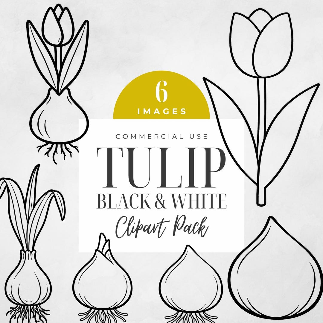 Tulip Plant Life Cycle Clipart, Black White, Flower Plants Growth ...