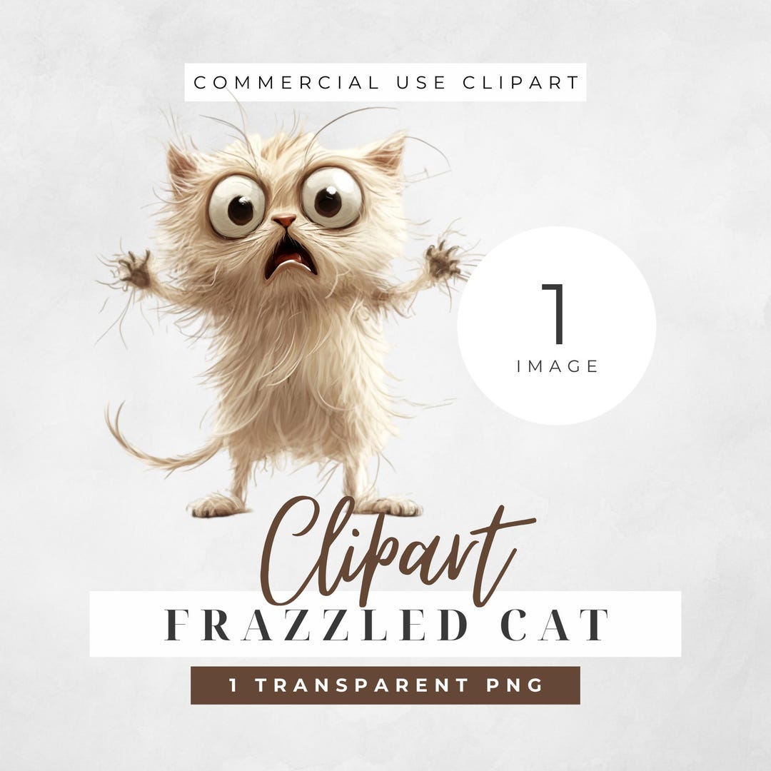 Frazzled Cat Clipart Single, Funny Cat Clipart, Quirky Cat Clipart ...