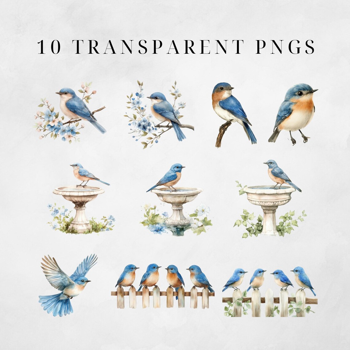 Watercolor Bluebird Clipart, Spring Birds Clip Art Illustrations ...