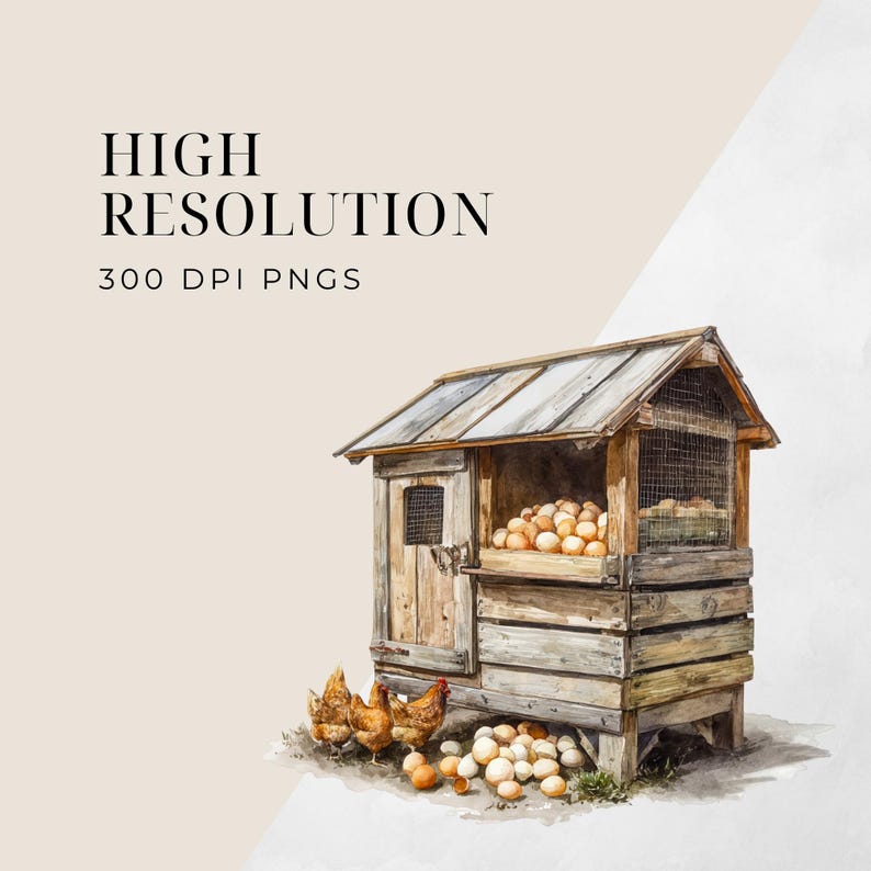 Chicken Life Cycle Clipart, Farm Animal PNG, Hen Chick Egg, Growth ...