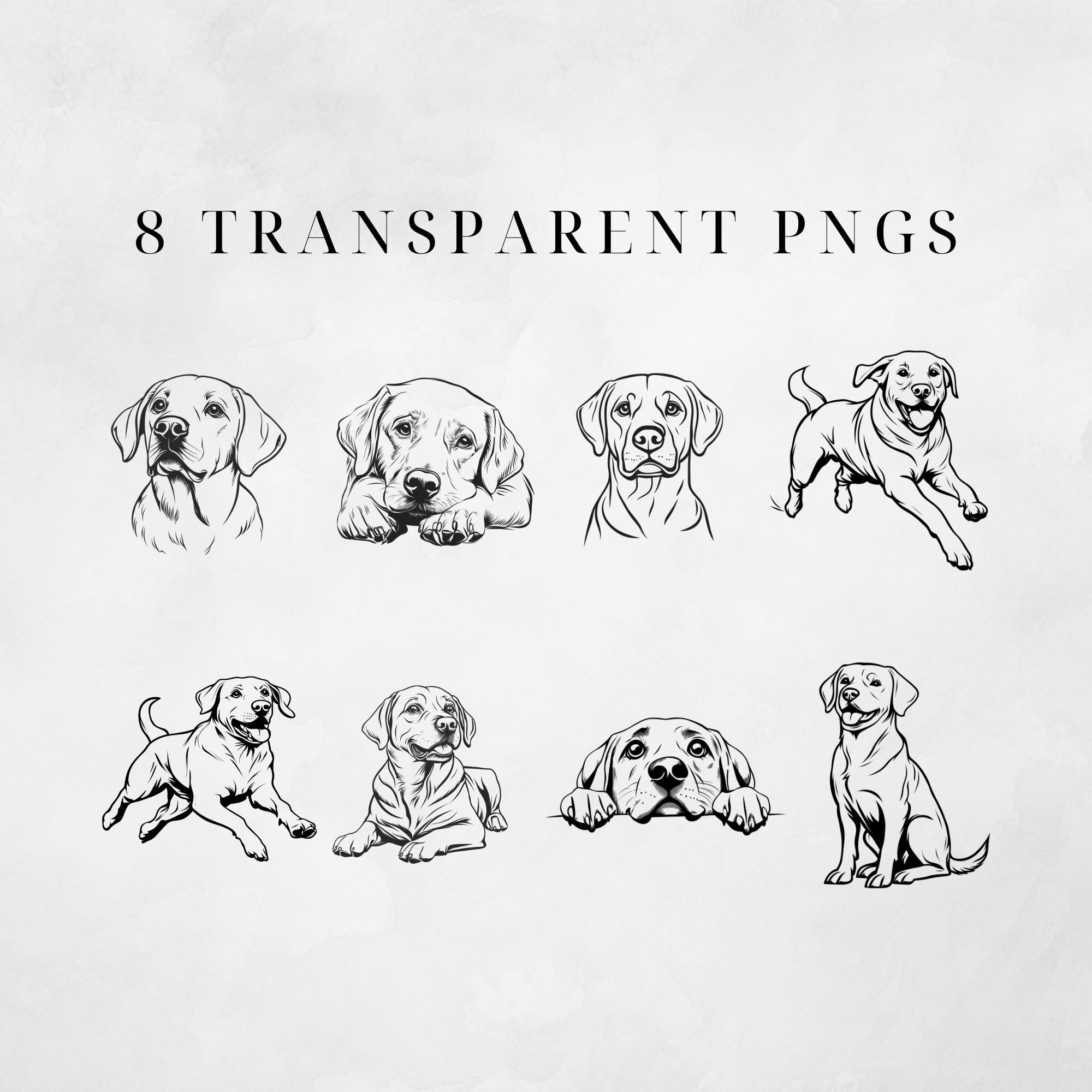 Labrador Retriever Outline Png, Dog Head, Silhouette, Transparent Png ...