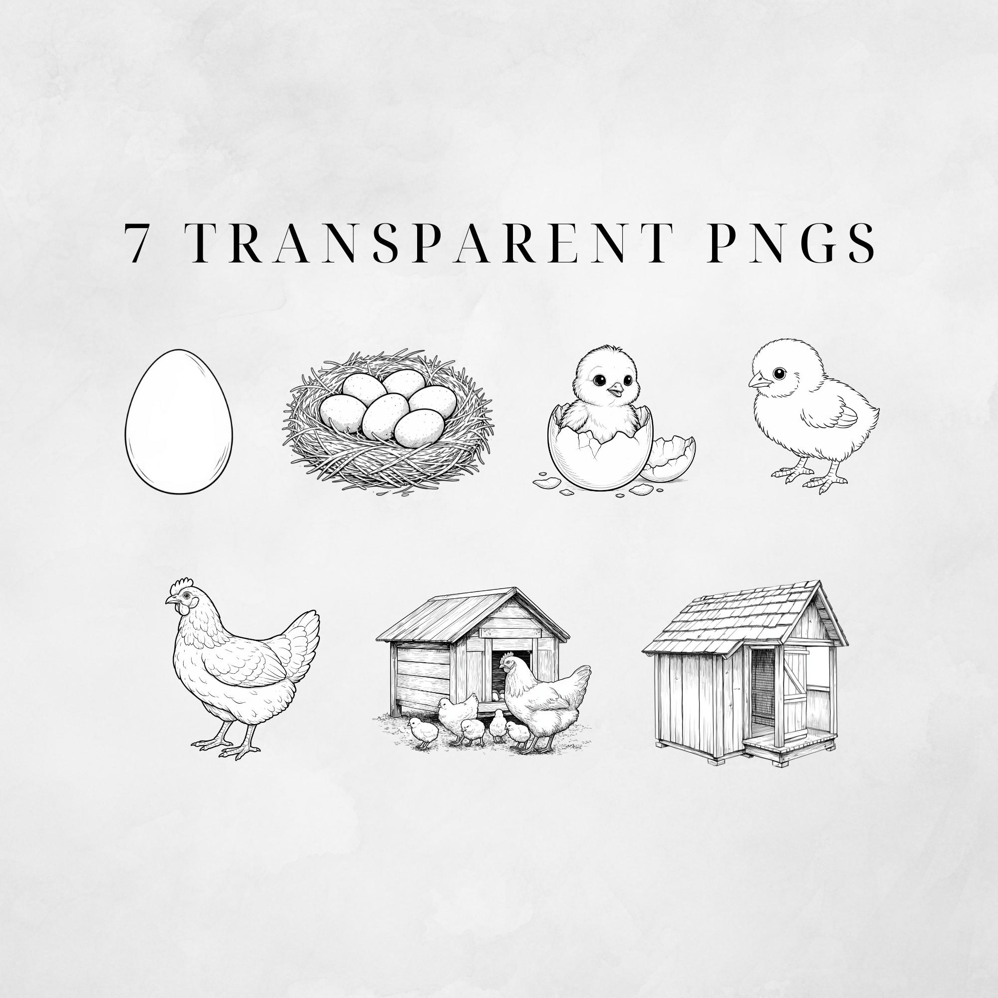 Black & White Chicken Life Cycle Clipart, Farm Animal PNG, Hen Chick ...