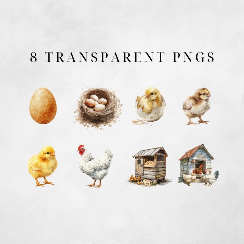 Chicken Life Cycle Clipart, Farm Animal PNG, Hen Chick Egg, Growth ...