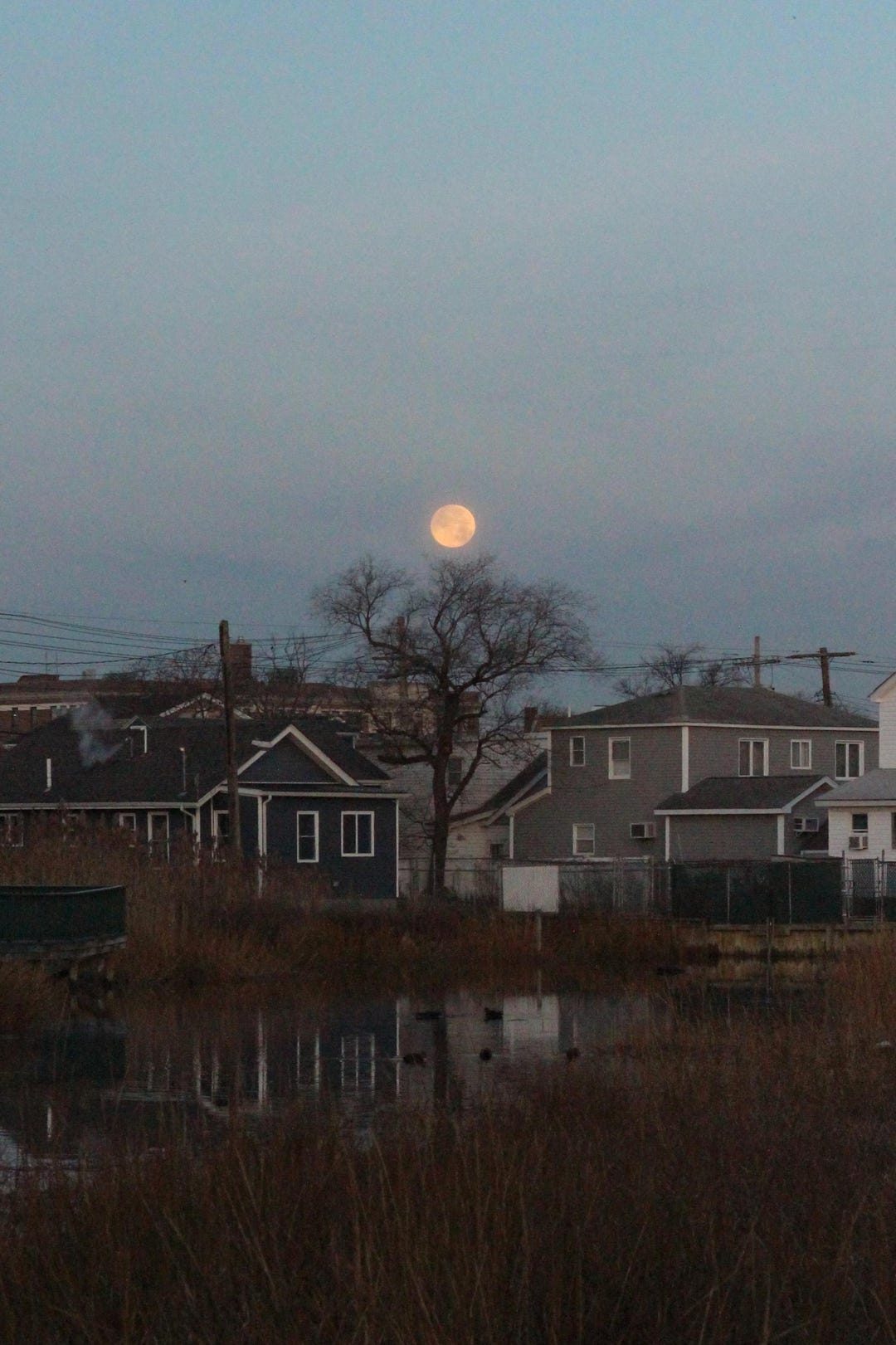 The Moon Over the Tree - Etsy