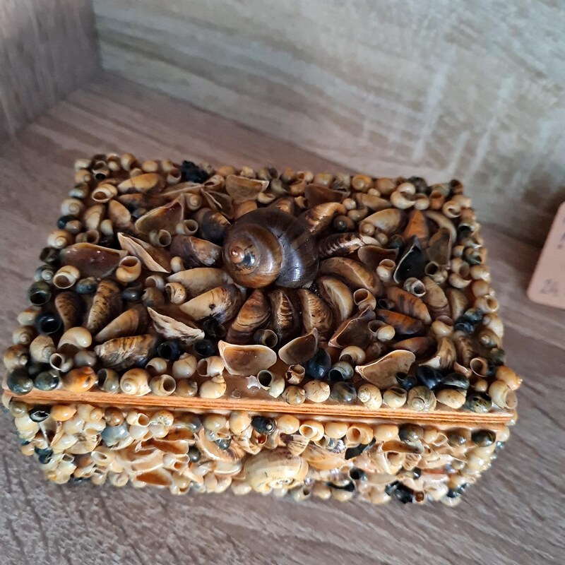Shell Box - Etsy
