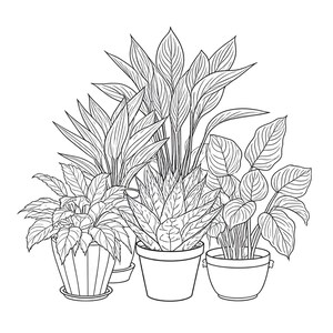 Plants Coloring Book Adult Coloring Book Botanical Themed Coloring ...