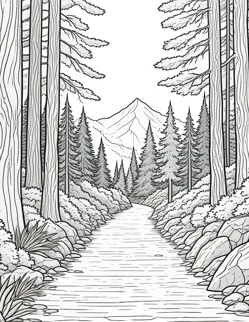 Nature Trails Coloring Book - Adult Coloring Book - Botanical Themed ...