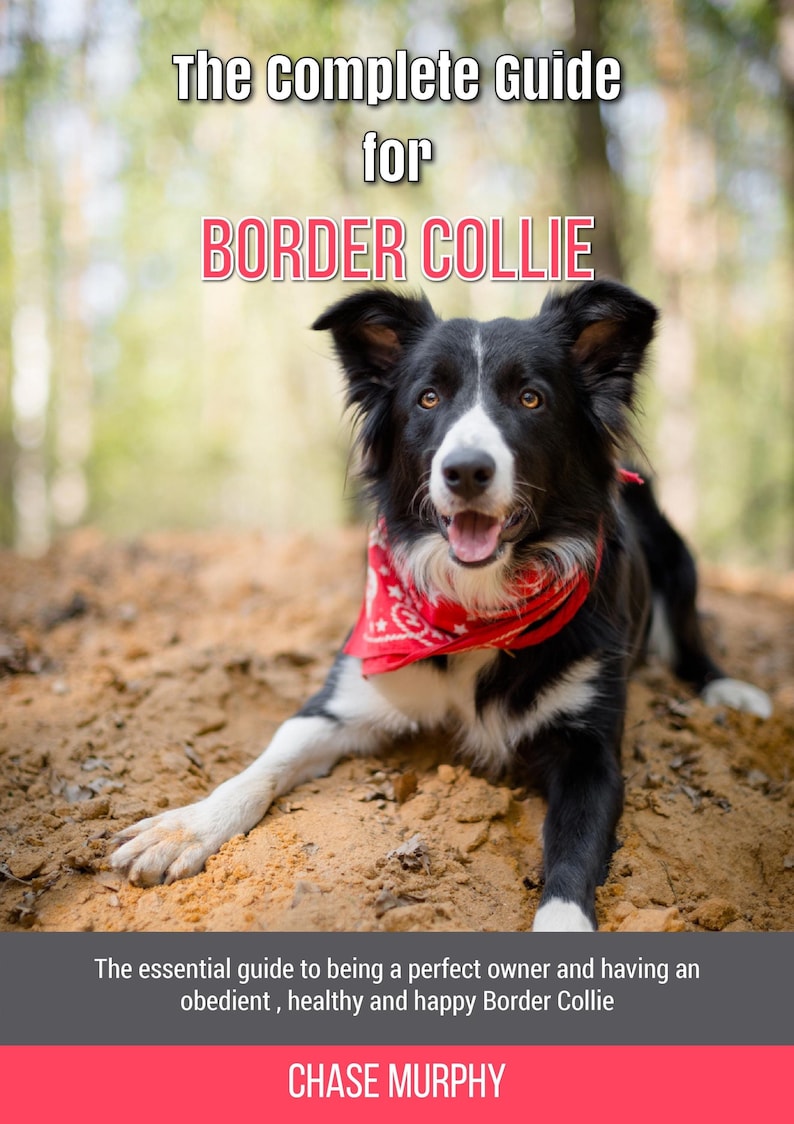 Border Collie Training Book: Effective Dog Training Tips for Your ...