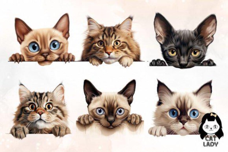 Funny Peeking Cat Clipart Bundle, Png Bundle, Funny Cat Design Bundle ...
