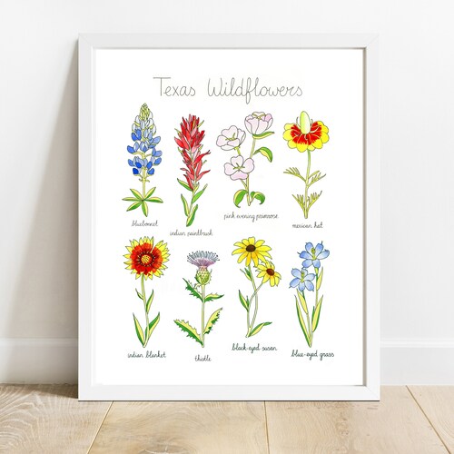 Texas Wildflower Watercolor Art Print - Etsy