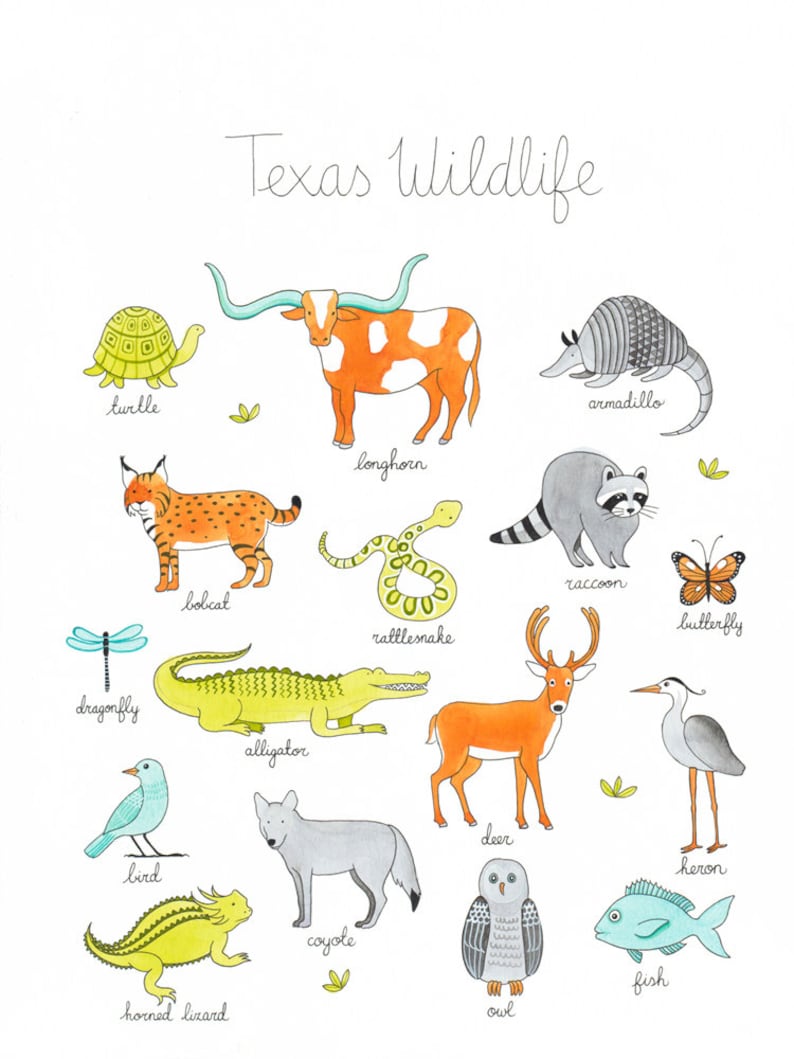 Texas Wildlife Art Print, Texas Art, Texas Animals, Poster - Etsy