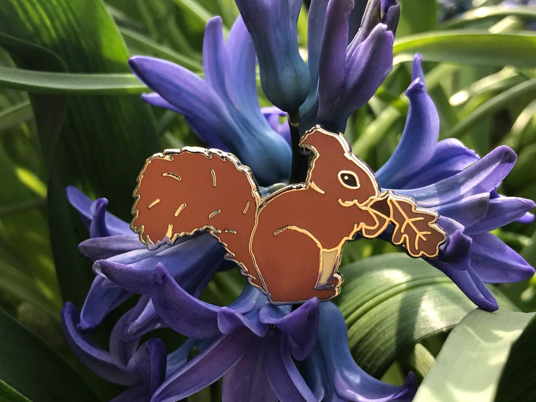 NEW!!! Cute Squirrel Pin With Acorn and Oak Leaf - Etsy