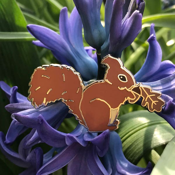 Squirrel Pin - Etsy