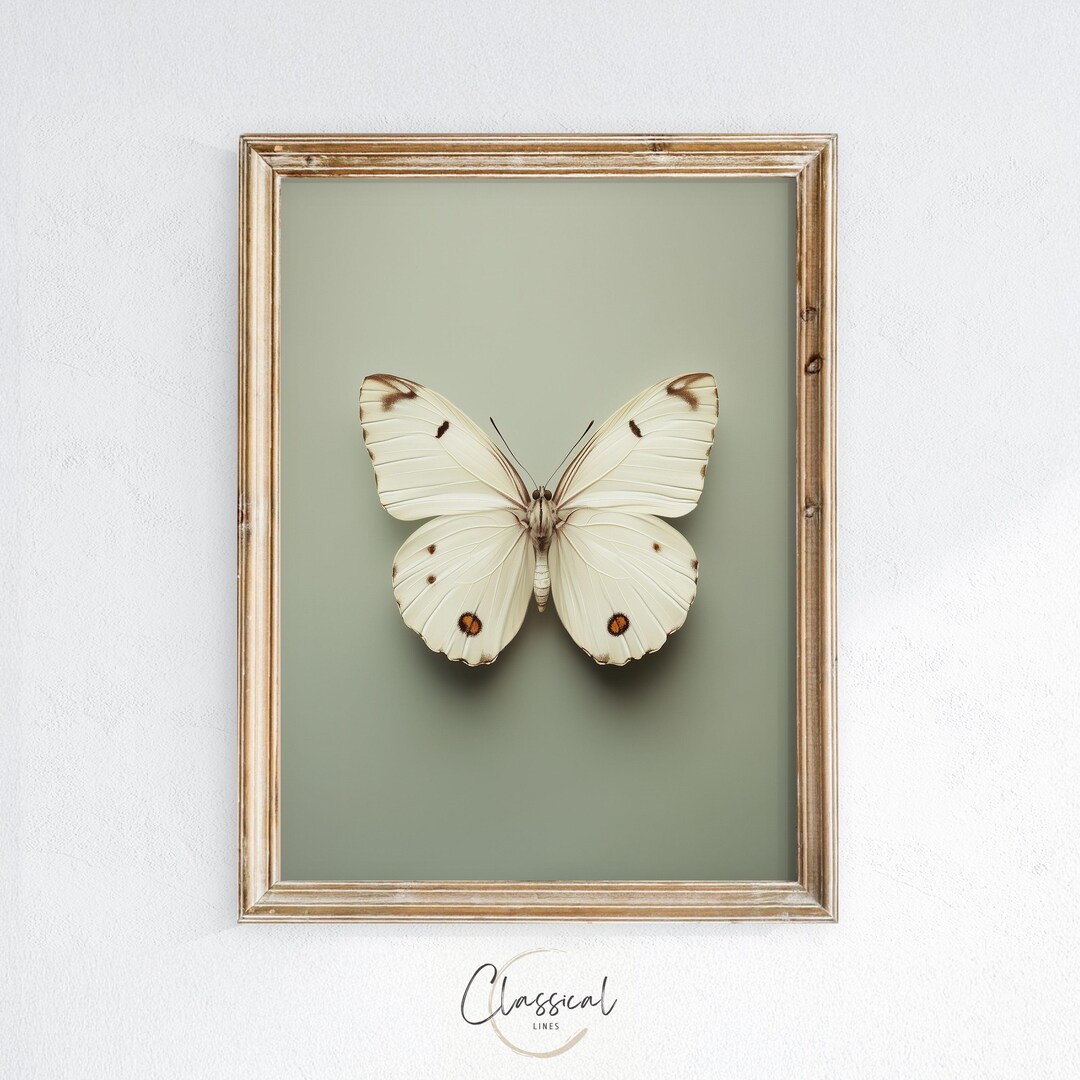 Vintage White Butterfly Print, Neutral Insect Art (digital Print) - Etsy