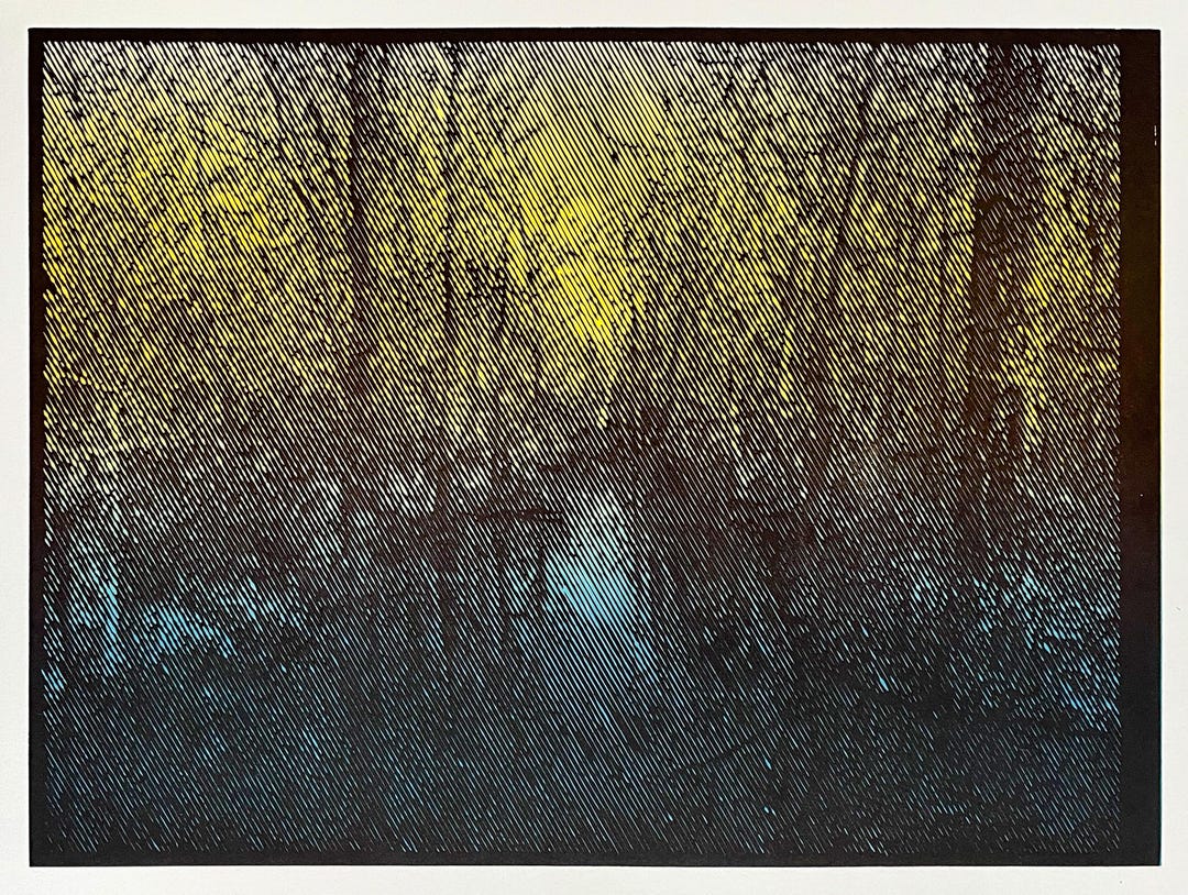 Beanblossom Bottoms, 2024, Color Linocut, Block Print on Canson Paper ...
