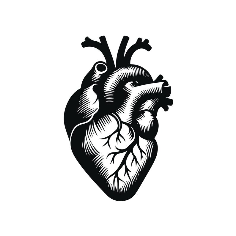 Heart Digital Download SVG/PNG - Etsy