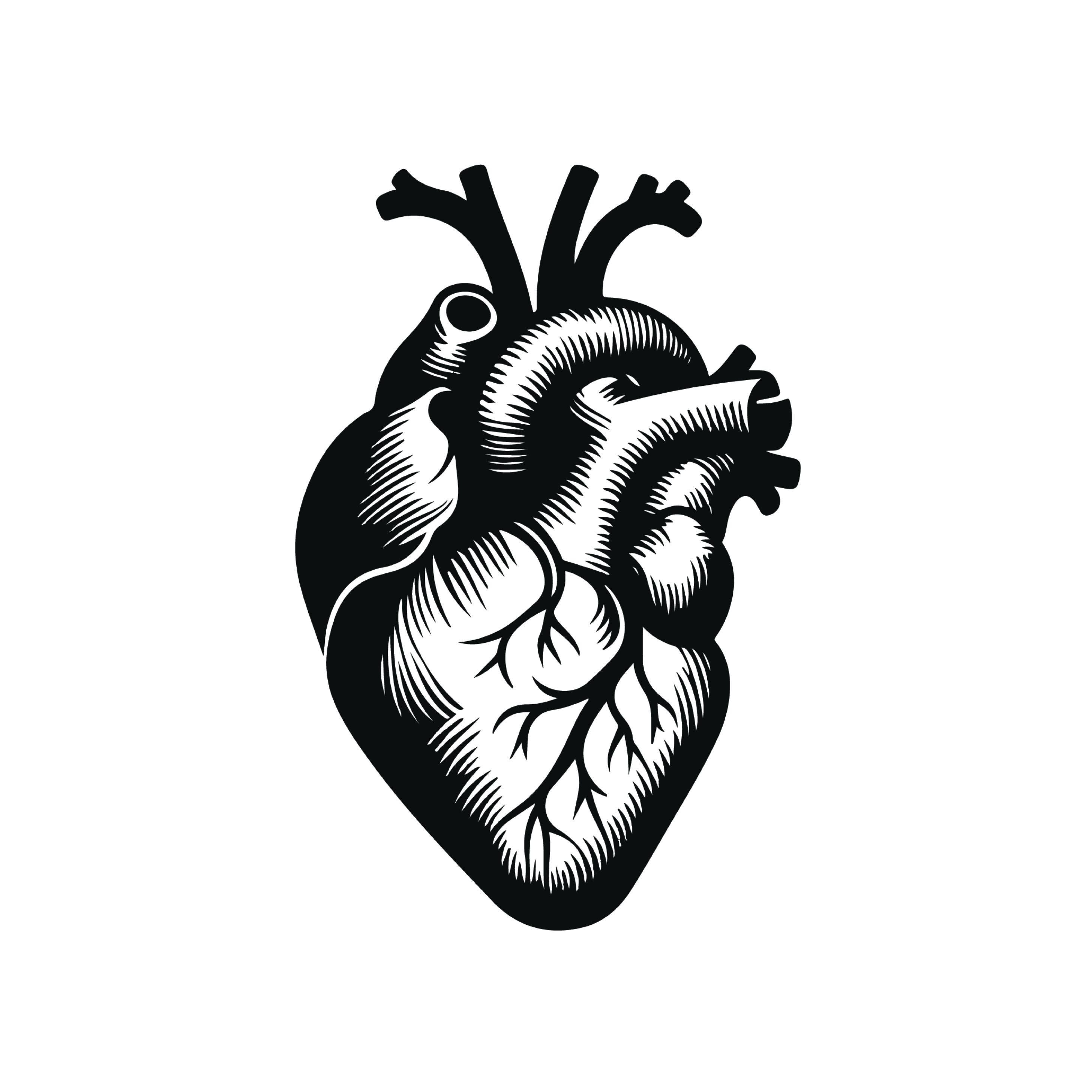 Heart Digital Download SVG/PNG - Etsy