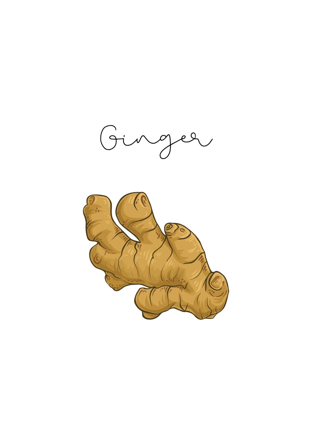 GINGER (printable Artwork) for Kitchen / Cafe / Restaurant - Etsy