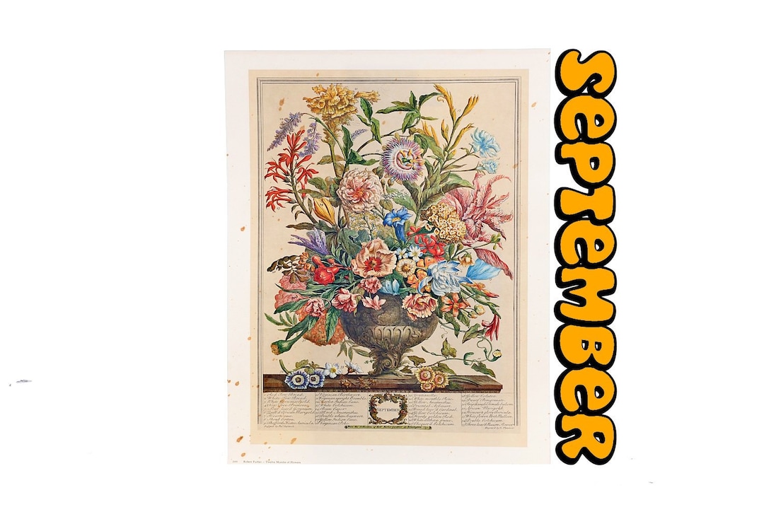 PRINT 1964 Robert Furber Twelve Months Flowers Vintage Decor Calendar ...