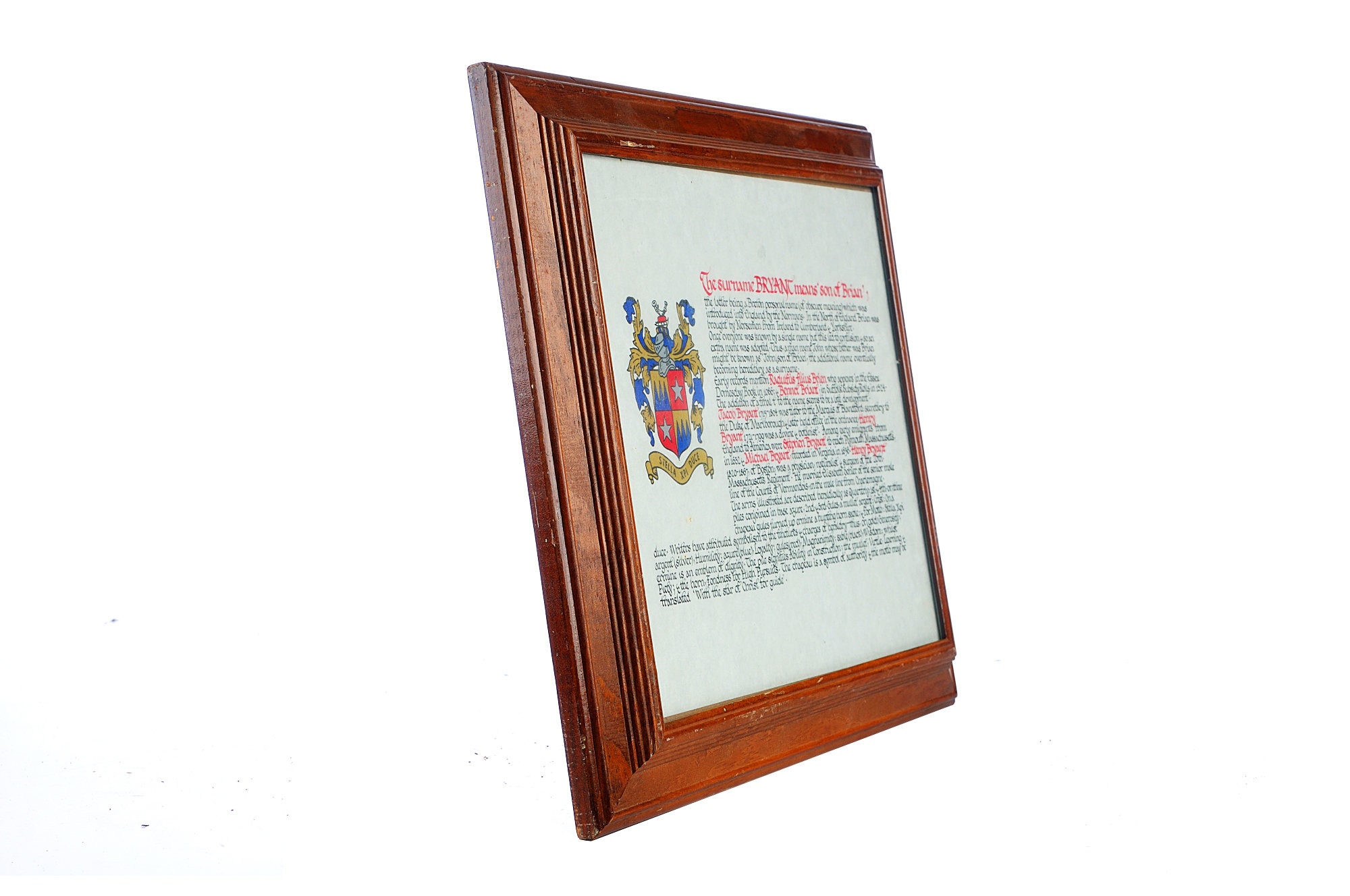 1970s BRYANT FAMILY CREST Meaning Origins History Ancestry Dna Relative ...