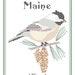 Maine State Bird, Flower and Motto Cross Stitch Pattern PDF - Etsy
