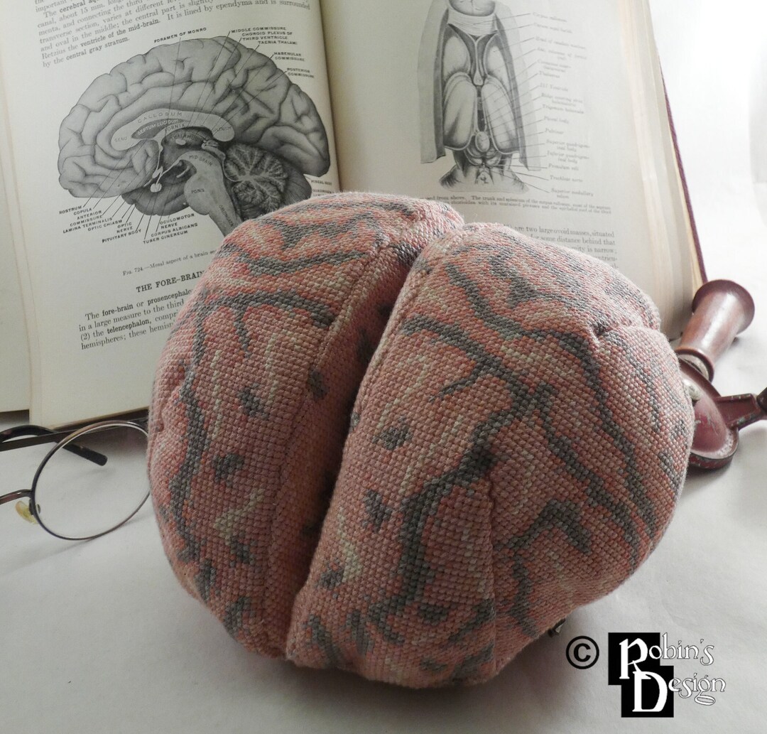 Human Brain 3D Cross Stitch Sewing Pattern PDF - Etsy