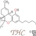 THC Molecule Cross Stitch Pattern PDF - Etsy