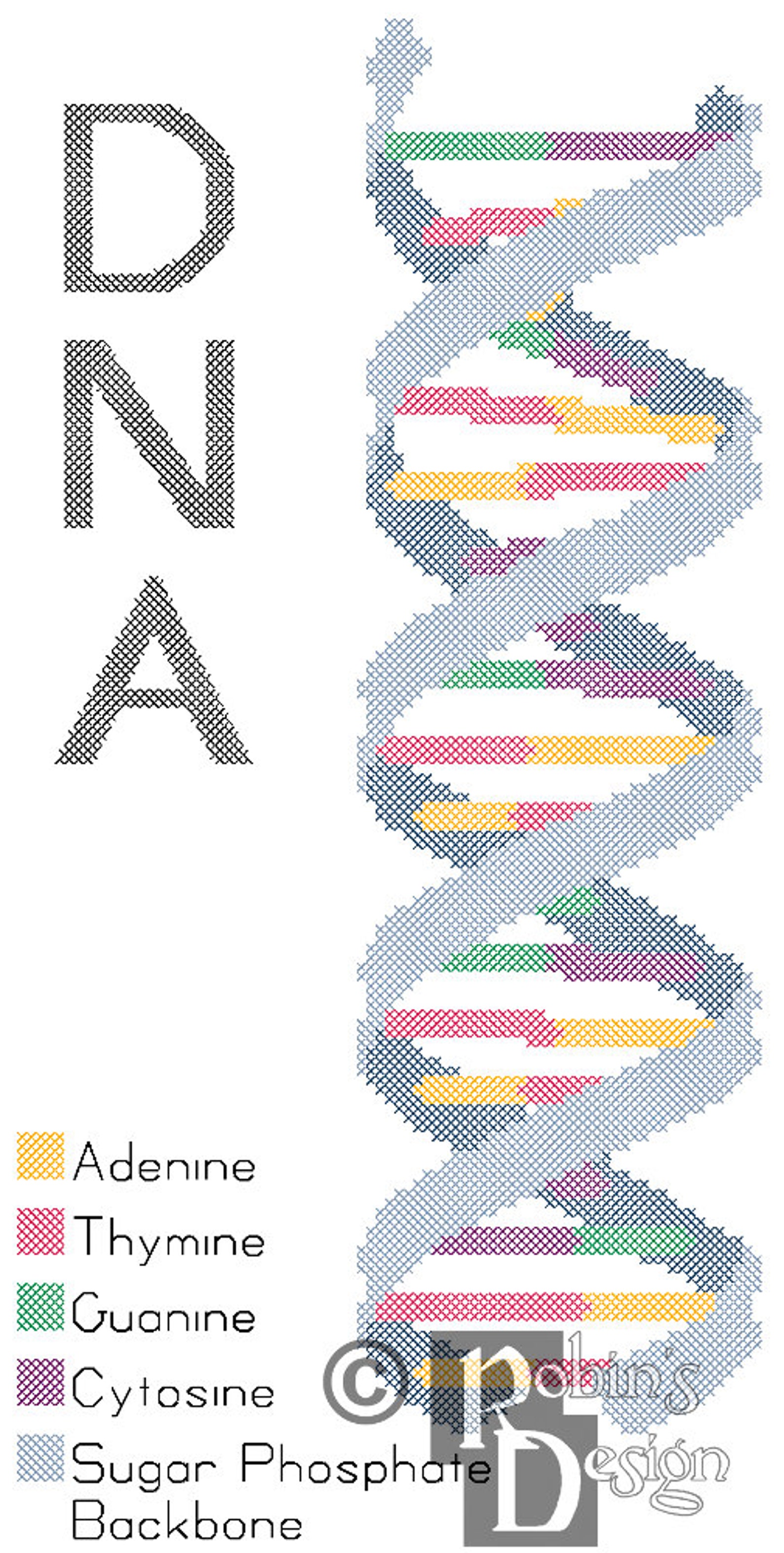 DNA Strand Cross Stitch Pattern PDF - Etsy