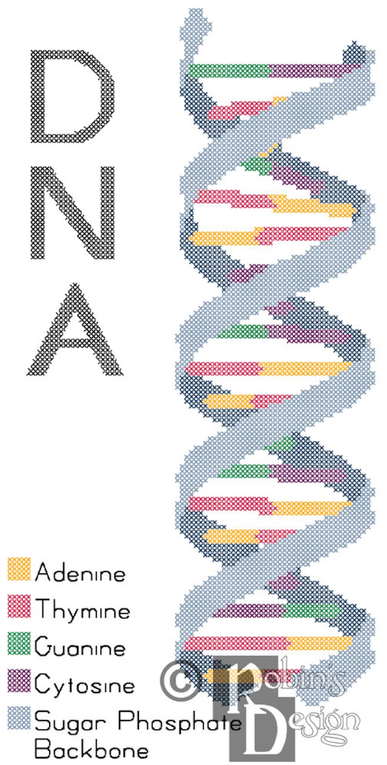 DNA Strand Cross Stitch Pattern PDF - Etsy