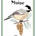 Maine State Bird, Flower and Motto Cross Stitch Pattern PDF - Etsy