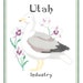 Utah State Bird, Flower and Motto Cross Stitch Pattern PDF - Etsy