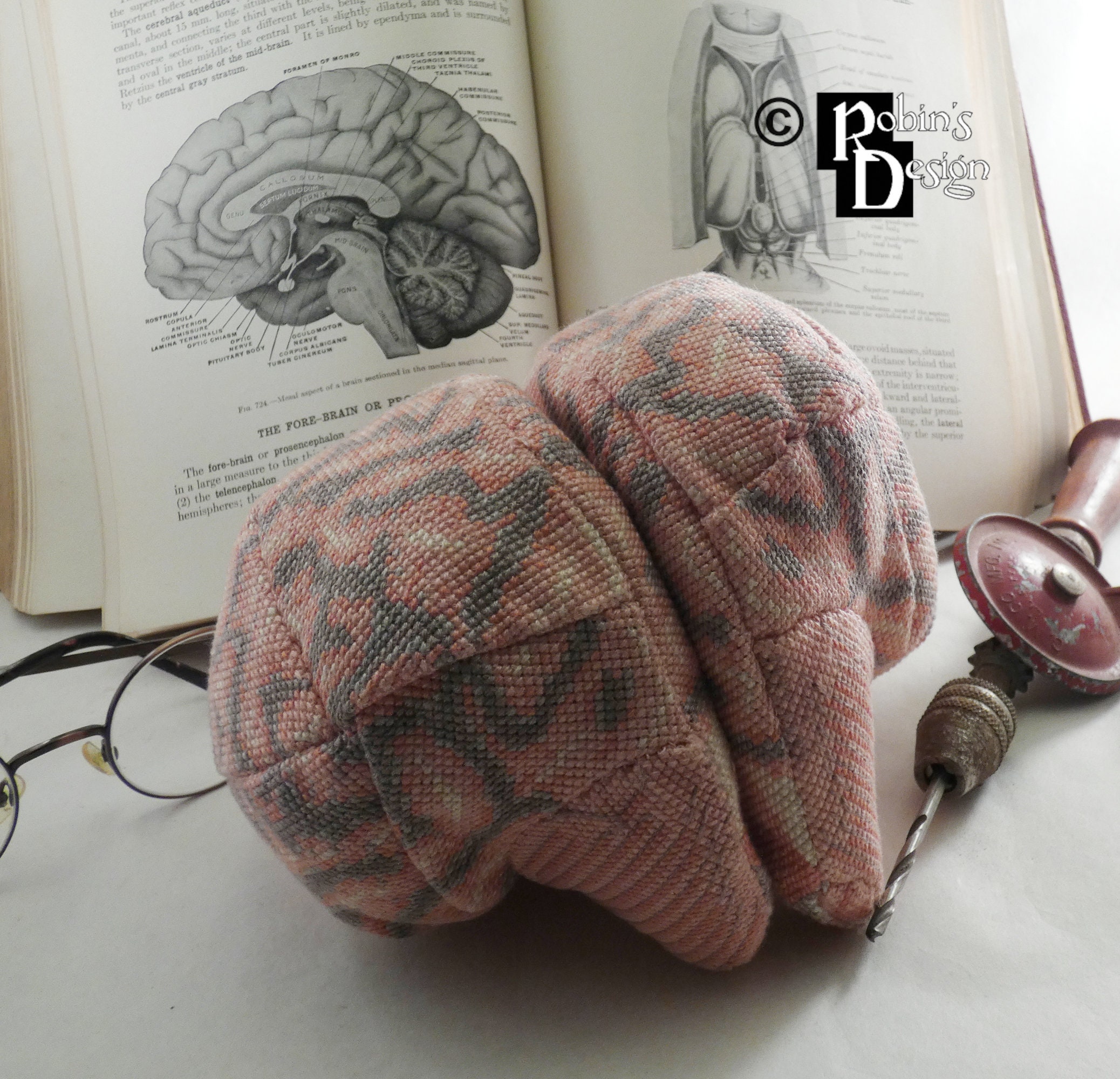 How To Make A Brain Model