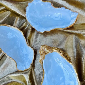 Oyster Shell Table Decor - Etsy