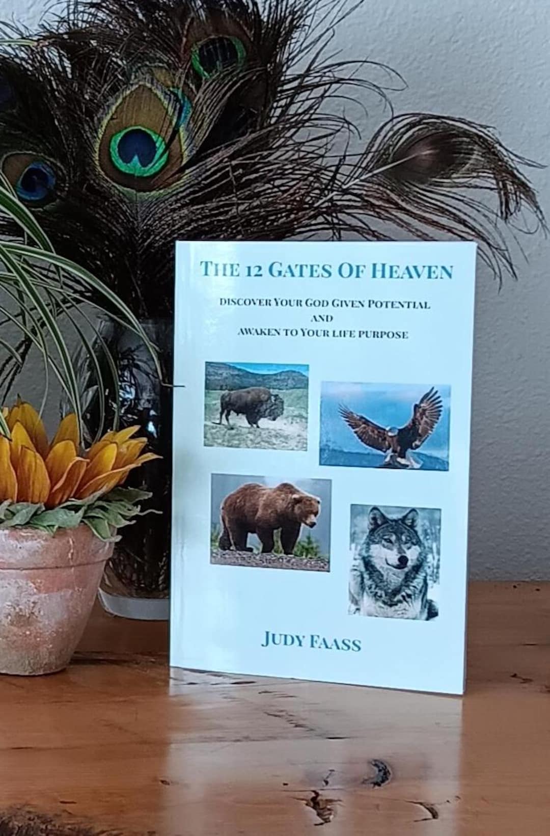 Book - the 12 Gates of Heaven: Discover Your God Given Potential and ...