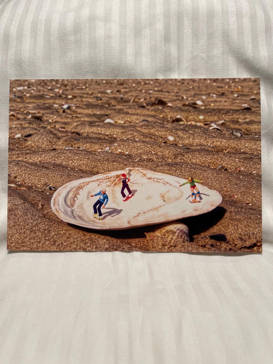 Skateboard and Rollerblade in the Shell / Postcards Sea Beach Baltic ...
