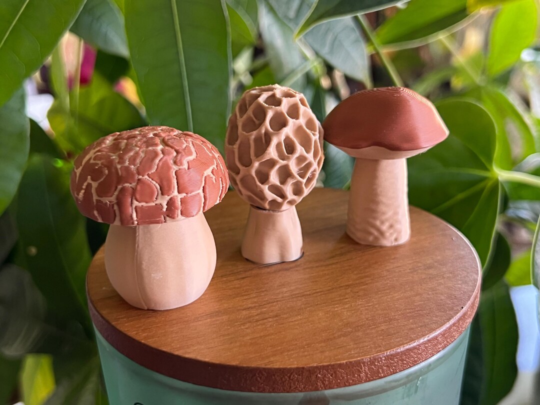 Mushroom Fidget Toy - Etsy