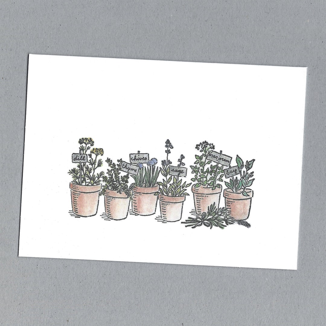 Herbs Folding Note Cards - (set of 10) Watercolor Herbs Note Cards ...