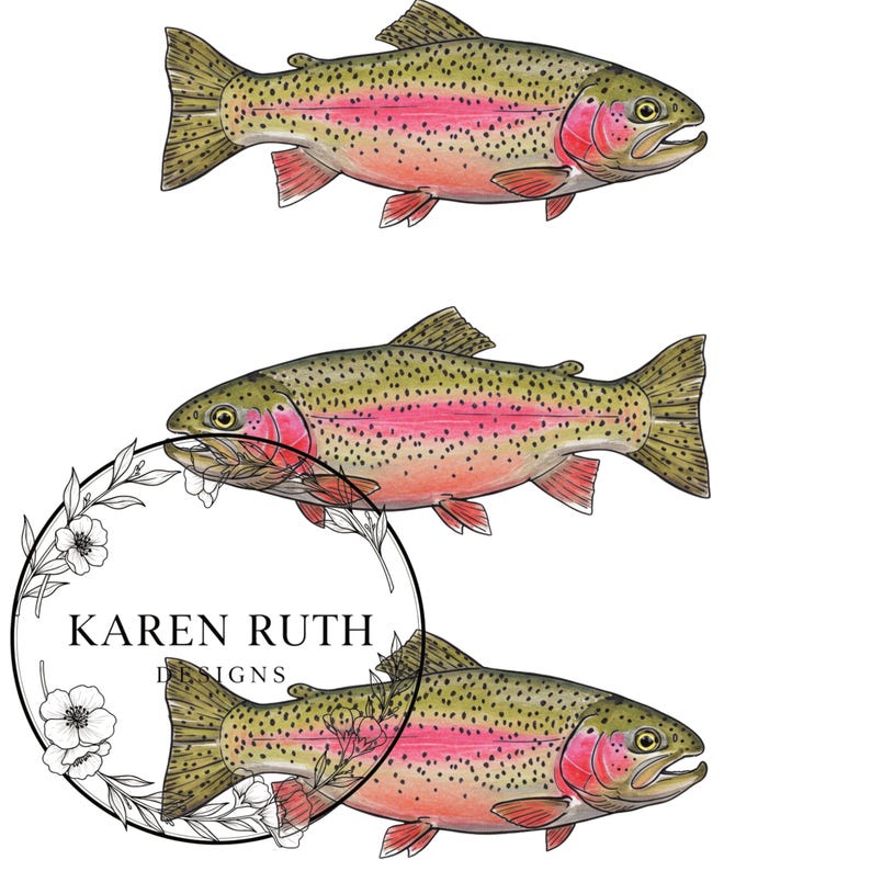 Rainbow Trout Clipart, Fishing Design PNG, PDF (digital Download) - Etsy