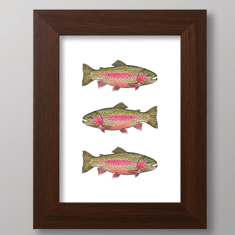 Rainbow Trout Clipart, Fishing Design PNG, PDF (digital Download) - Etsy