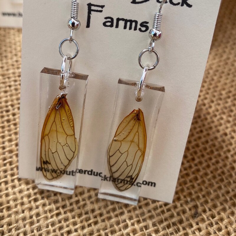 Cicada Wing Earrings - Etsy