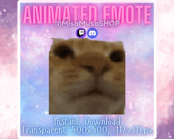 Gif De Emoticono Confundido Gesto Animado Gato Blanco Confundido Que