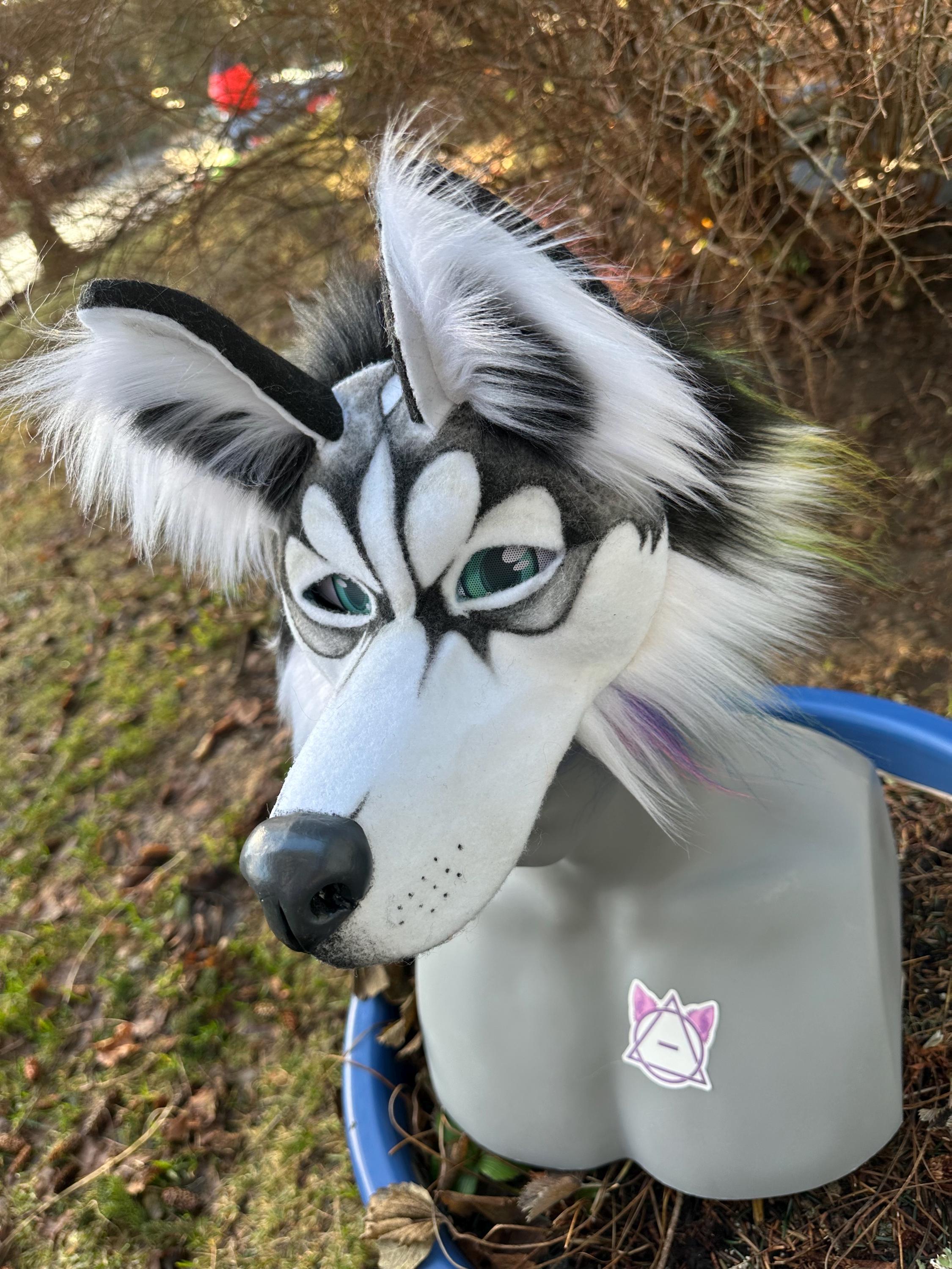 Siberian Husky Mask - Etsy